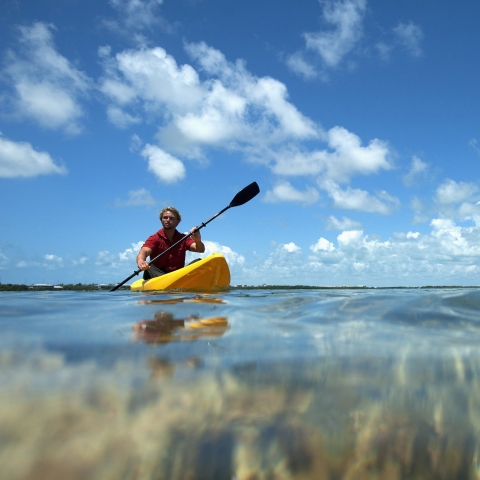 Watersports in Marathon FL | Isla Bella Beach Resort