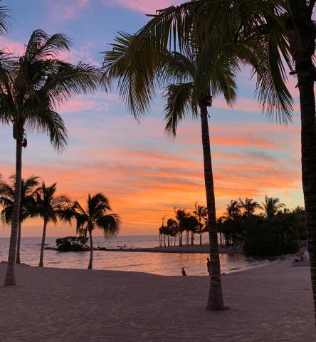 Limited Time Offers - Isla Bella Beach Resort & Spa - Isla Bella Beach ...
