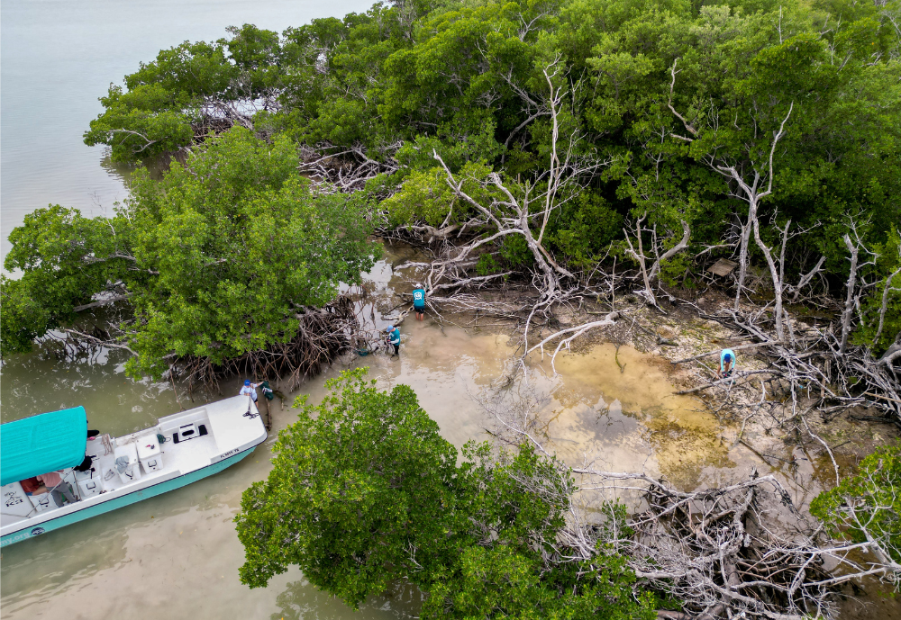 Sustainability - Isla Bella Beach Resort & Spa - Isla Bella Beach ...